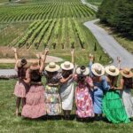 2 Vineyard Wine Tour of the Yadkin Valley - The Sum Up: Is It Worth It?