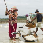 24-Day Cambodia Discovery: From Temple & Wildlife to Beaches - From Beaches to the Countryside: Kampot, Kep, and Beyond