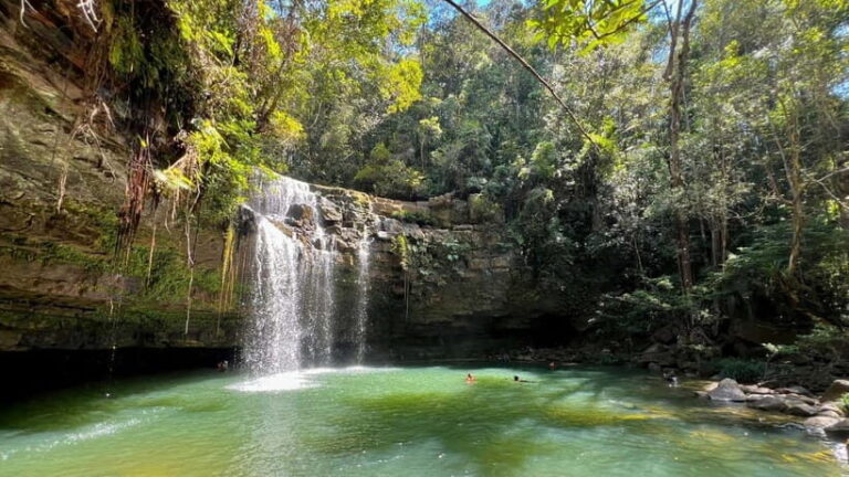 2D1N Jungle Hike to 2 Waterfall with a 4x4 Journey - The Itinerary in Detail