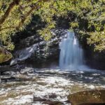 2D1N Mae Wang National Park Jungle Trekking Adventure from Chiang Mai - Final Thoughts