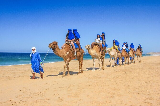 2x1 Tour: Cabo San Lucas Arch + Camels Ride + Pick up! - The Practical Side: Transportation, Duration, and Price