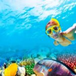 2x1 Tour: Isla Contoy, Isla Mujeres, Open Bar, Lunch and Transfers - Practical Details: What Travelers Need to Know