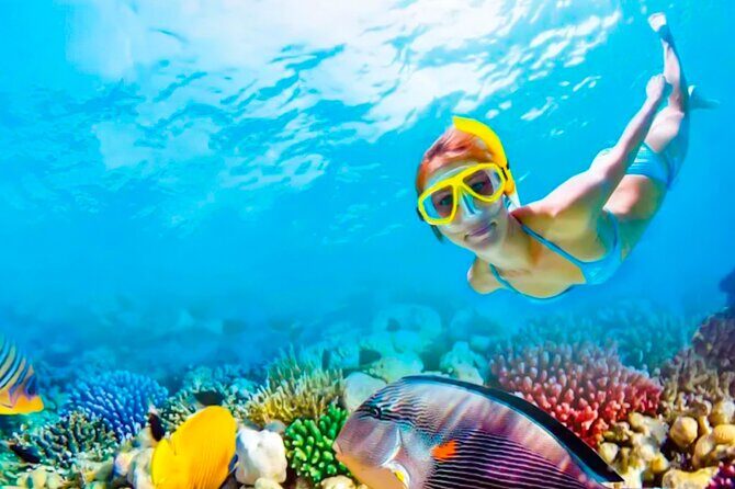 2x1 Tour: Isla Contoy, Isla Mujeres, Open Bar, Lunch and Transfers - Practical Details: What Travelers Need to Know