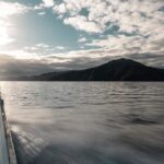 3.5 Hour Marlborough Sounds Delivery Cruise - Who Will Appreciate This Cruise?