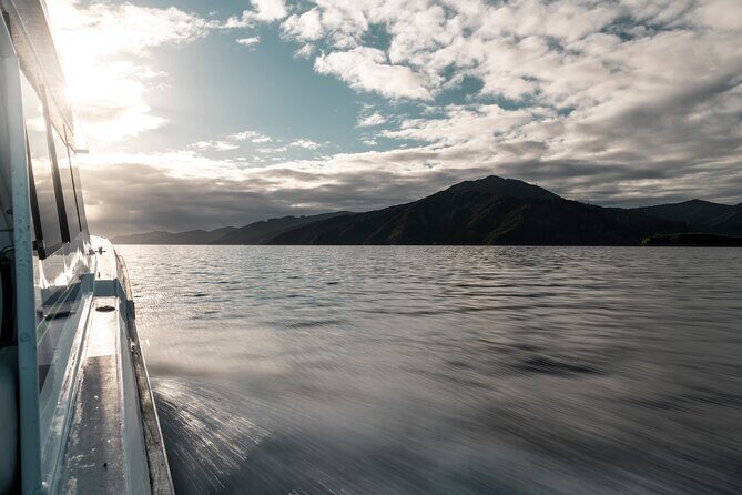 3.5 Hour Marlborough Sounds Delivery Cruise - Who Will Appreciate This Cruise?
