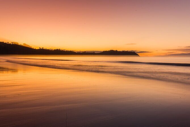 3.5 hour Sunset Tour on Waiheke Island - Who Will Love This Tour?
