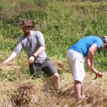 3 Day 2 Nights Jungle in Huay Nam Dung National Park - The Value of the Experience
