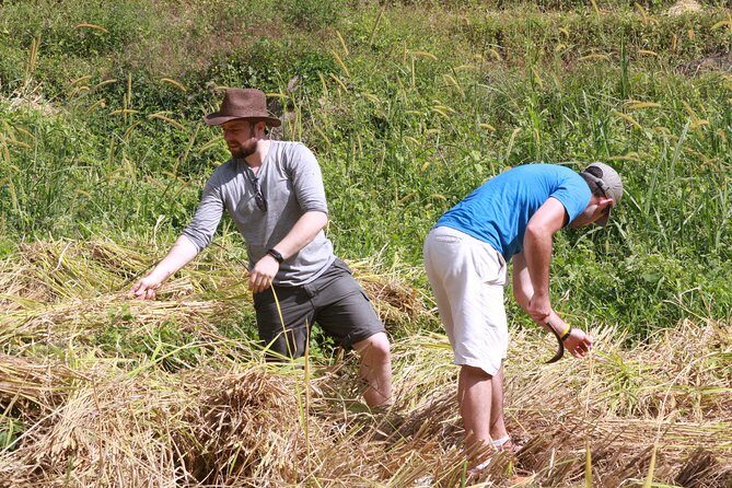 3 Day 2 Nights Jungle in Huay Nam Dung National Park - The Value of the Experience