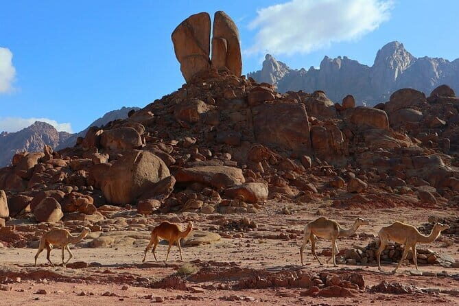 3 Day Archaeological Tour At Jabal Al Lawz - Final Thoughts: Is This Tour Right for You?