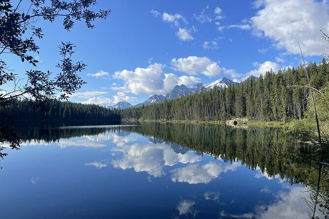 3 Day Banff National Park Johnston Canyon Voyage Car Tour - Detailed Review of the Tour Experience