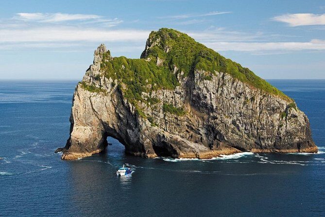 3-Day Bay of Islands Tour from Auckland - Day 3: Waitangi Treaty Grounds and Return to Auckland