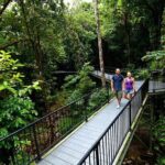 3-Day Best of Cairns Combo: The Daintree Rainforest, Great Barrier Reef, and Kuranda - Day 2: Reef Adventure – The Great Barrier Reef