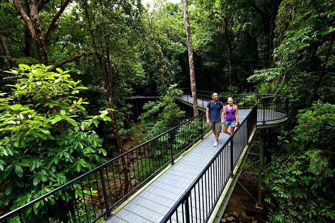 3-Day Best of Cairns Combo: The Daintree Rainforest, Great Barrier Reef, and Kuranda - Day 2: Reef Adventure – The Great Barrier Reef
