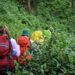 3-Day Chiang Dao Mountain Trek - Introduction to the Chiang Dao Mountain Trek: What’s All the Fuss?