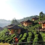 3-day Chiang Rai Elephant riding Golden Triangle - Day 3: Ancient Cities and the Golden Triangle