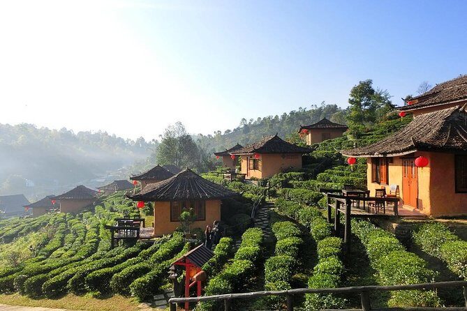 3-day Chiang Rai Elephant riding Golden Triangle - Day 3: Ancient Cities and the Golden Triangle