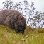 3-Day Cradle Mountain Photography Workshop - The Benefits of Small-Group, All-Inclusive Travel