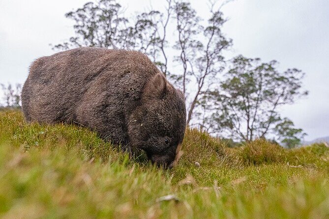 3-Day Cradle Mountain Photography Workshop - The Benefits of Small-Group, All-Inclusive Travel