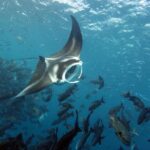 3 Day Dive Tour - Who Will Enjoy This Tour?
