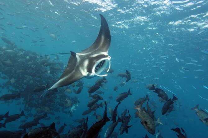 3 Day Dive Tour - Who Will Enjoy This Tour?