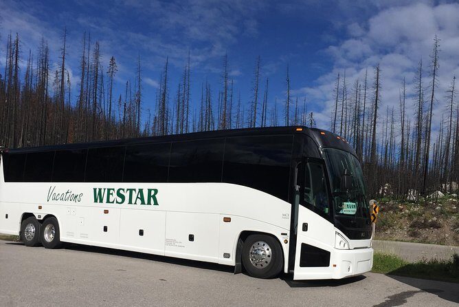 3-Day Glacial Tour package, Columbia Icefield, Jasper, LakeLouise - Who Should Consider This Tour?