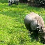 3-Day Guided Safari Tour in Chitwan National Park in Nepal - Is this Tour Worth It? Analyzing the Value