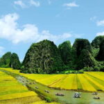 3 Day Hanoi Ninh Binh Halong & Lan Ha Bay (Bungalow + Cruise) - Who Is This Tour Best For?