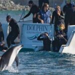 3 Day Kaikoura Sealife and Coach Tour from Christchurch - Who Should Consider This Tour?