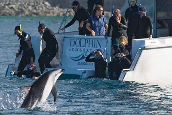 3 Day Kaikoura Sealife and Coach Tour from Christchurch - Who Should Consider This Tour?