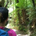 3 Day Kayak & Walk North New Zealand - The Practicalities: Focus on Value and Comfort