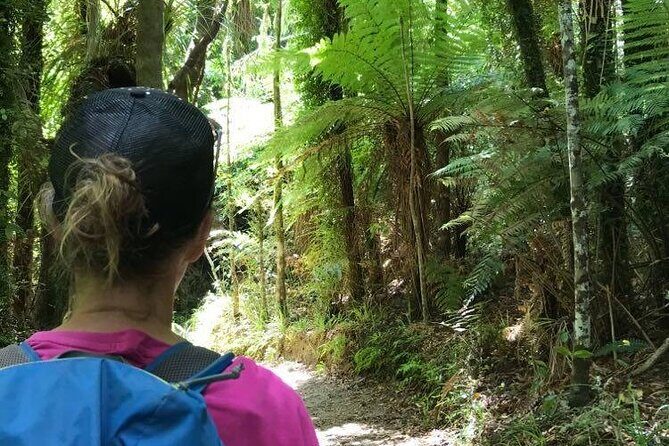 3 Day Kayak & Walk North New Zealand - The Practicalities: Focus on Value and Comfort