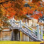 3-Day KORAIL Tour of Busan and Gyeongju from Seoul - Final Thoughts: Is This Tour Worth It?