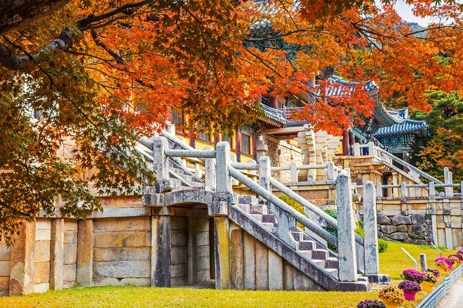 3-Day KORAIL Tour of Busan and Gyeongju from Seoul - Final Thoughts: Is This Tour Worth It?
