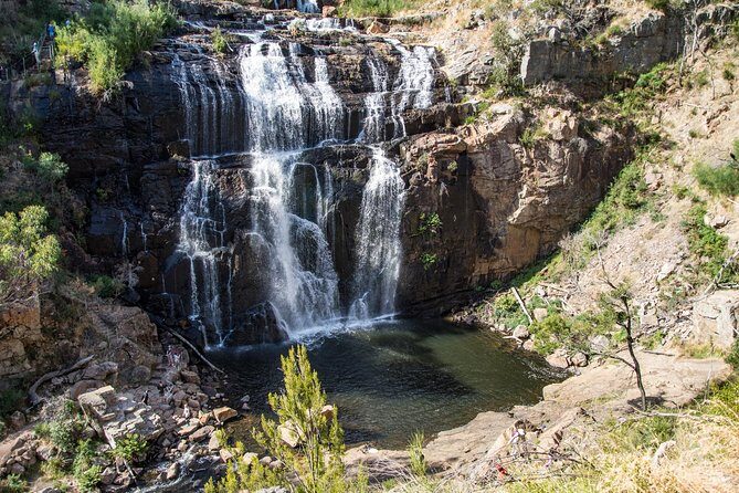 3-Day Melbourne to Adelaide Small-Group Tour via Great Ocean Road Grampians - Practical Details and What to Expect