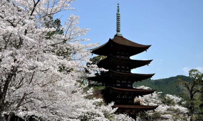 3 Day One-way Tour to Osaka From Fukuoka via SANYO with Bus - Who This Tour Is Perfect For