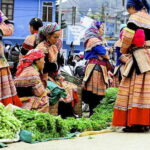 3-Day Private Ha Giang Loop Car Tour: Scenic Adventure from Hanoi - Is It Worth the Price?