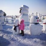 3 Day Private Harbin Ice Festival Tour with Entry Tickets - Who Should Consider This Tour?