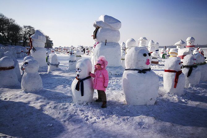 3 Day Private Harbin Ice Festival Tour with Entry Tickets - Who Should Consider This Tour?
