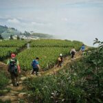 3- Day Private Hiking Trip to Xuefeng Mountain with Accommondation - What’s Included and What to Expect