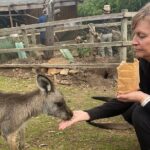 3 Day Private Tour in Tasmania - Who Should Consider This Tour?