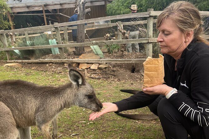 3 Day Private Tour in Tasmania - Who Should Consider This Tour?