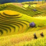 3-day Sapa trekking and Bac Ha market on Sunday - An Overview of the Itinerary