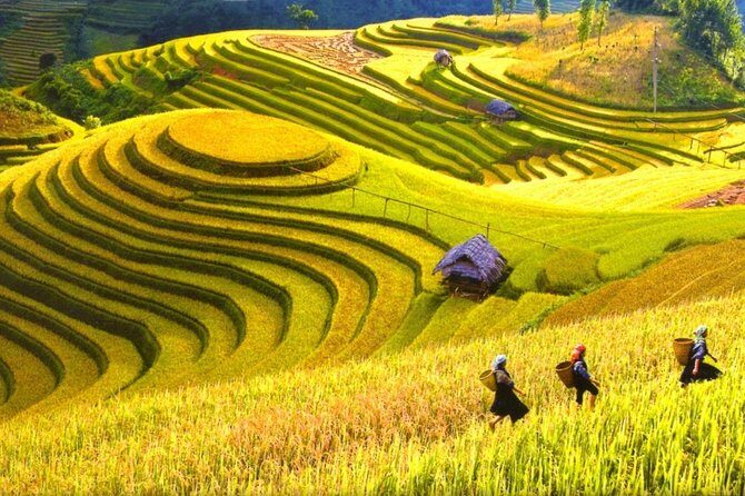 3-day Sapa trekking and Bac Ha market on Sunday - An Overview of the Itinerary