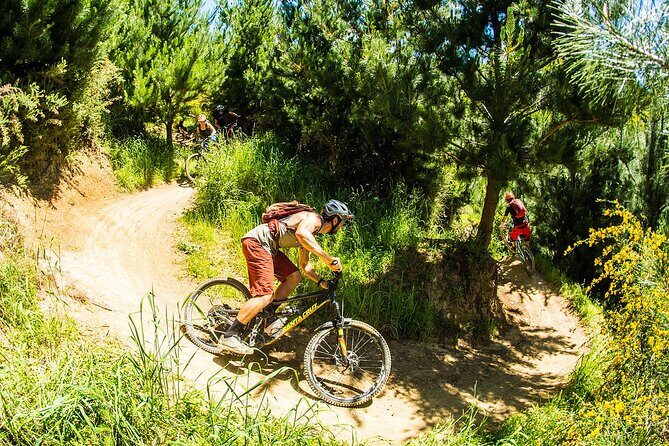 3 Day Shuttle MTB Weekend Adventure in Nelson - Authentic Experiences and Highlights