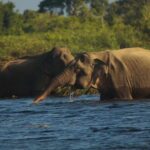 3-Day tour to Vedda Village & Two National Parks - The Itinerary: Day-by-Day Breakdown