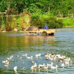 3-Day Trekking In Pu Luong Nature Reserve Private Tour - Transportation and Practicalities