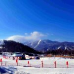 3-Day Yabuli Ski Resort and Panda House Private Trip from Harbin with Accommodation - An In-Depth Look at the Itinerary and Experience