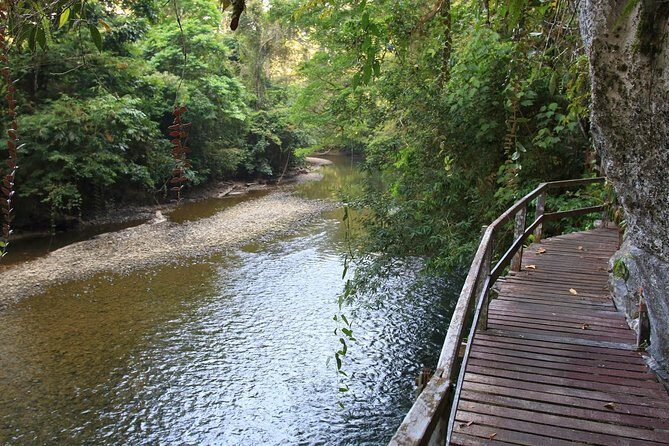 3 Days 2 Nights Unesco World Heritage Mulu 4 Showcaves - Visualizing the Experience