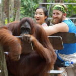 3 Days 2 Nights Wildlife Tanjung Puting - A Detailed Breakdown of the Itinerary