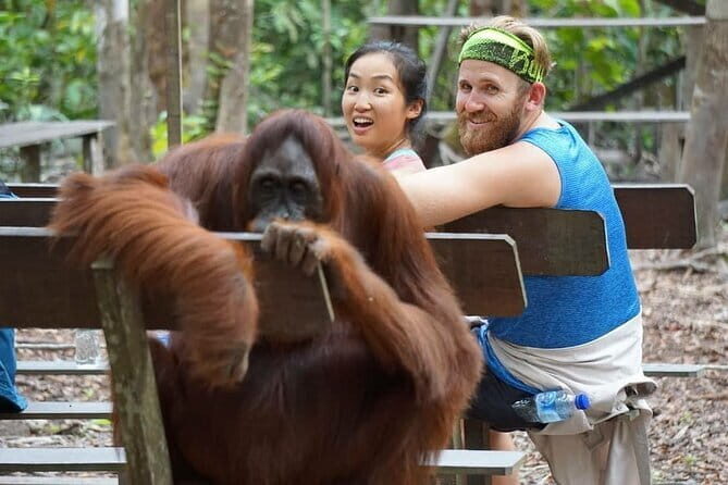 3 Days 2 Nights Wildlife Tanjung Puting - A Detailed Breakdown of the Itinerary
